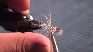 Fly Fishing Post ”flytying”《Wacky 23 シルバーマーチブラウン》 – Fly FIshing Post