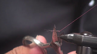 Fly Fishing Post ”flytying”《Wacky 33 ランズパティキュラー》 フライフィッシング ポスト – Fly ...